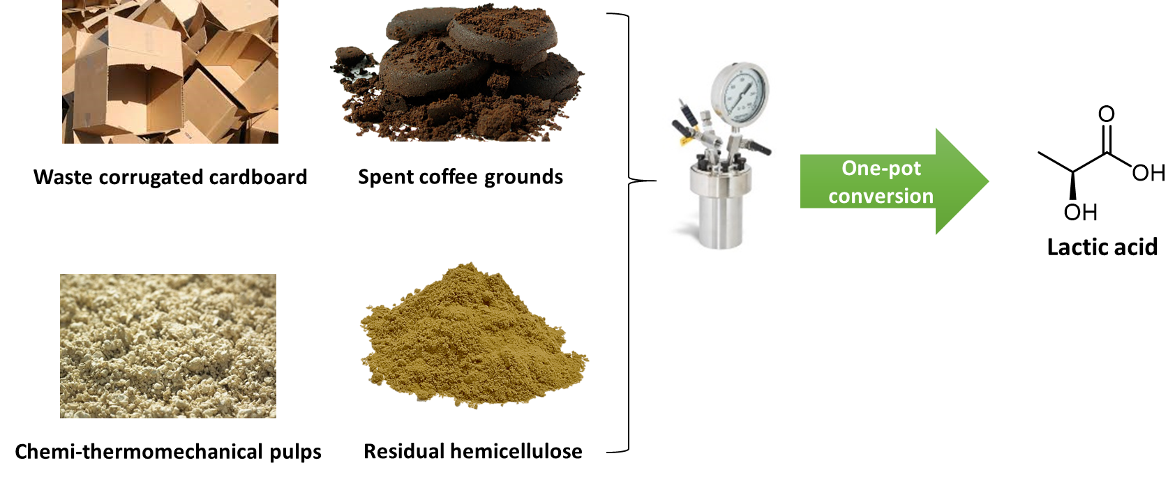 Research | Biorefinery and Biomass Conversion Lab